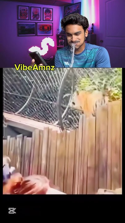 Try Not To Laugh Challenge 😂 part 34 #funny #shorts #shortsfeed #memes #viralvideo #like # ...