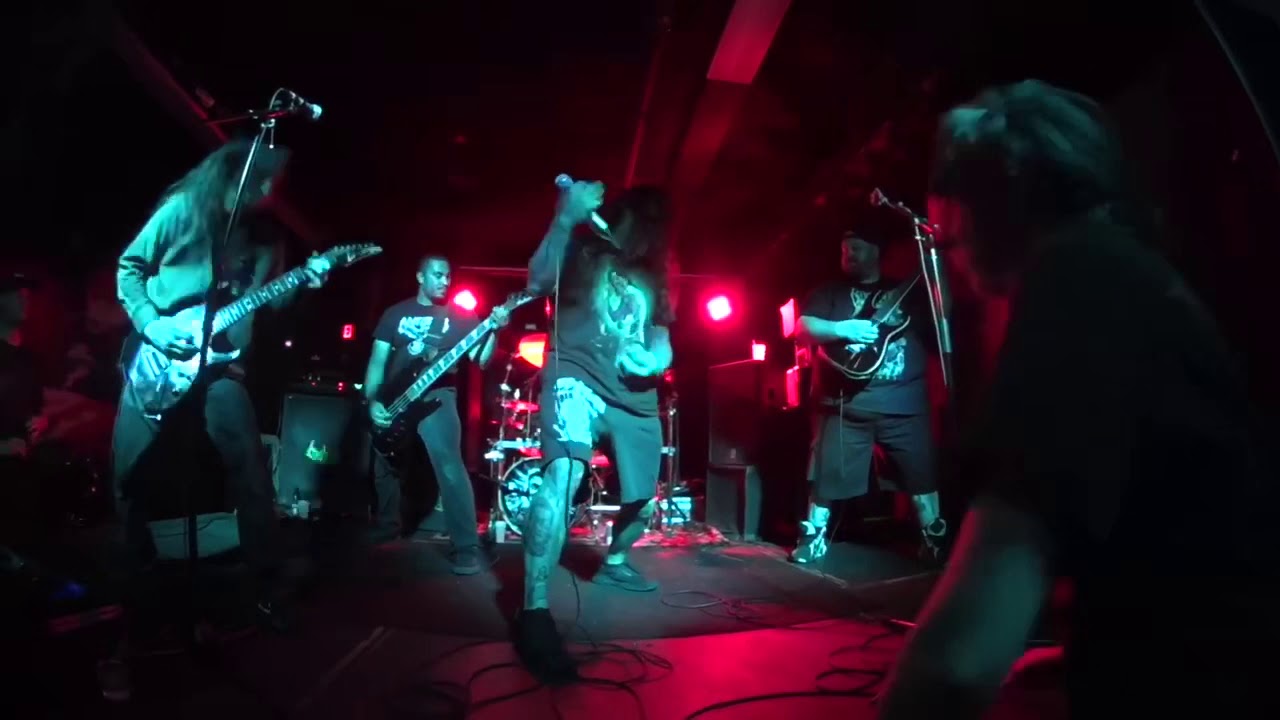 Gorgatron - Dead Embryonic Cells - YouTube