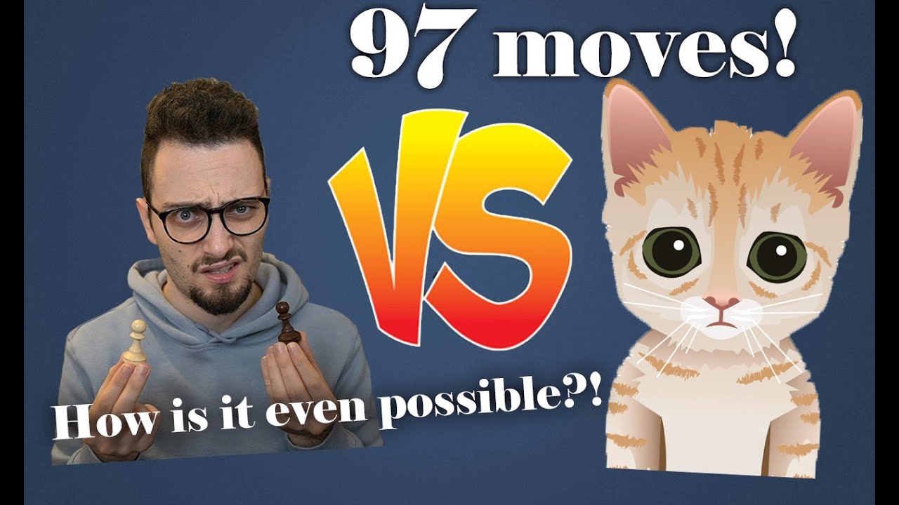 Can GothamChess Beat Mittens?! - YouTube
