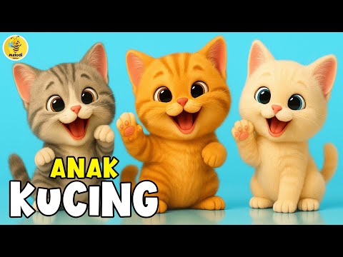 Lagu Anak Anak - ANAK KUCING MEONG MEONG - Lagu Anak & Balita Terbaru Paling Viral Terpopuler