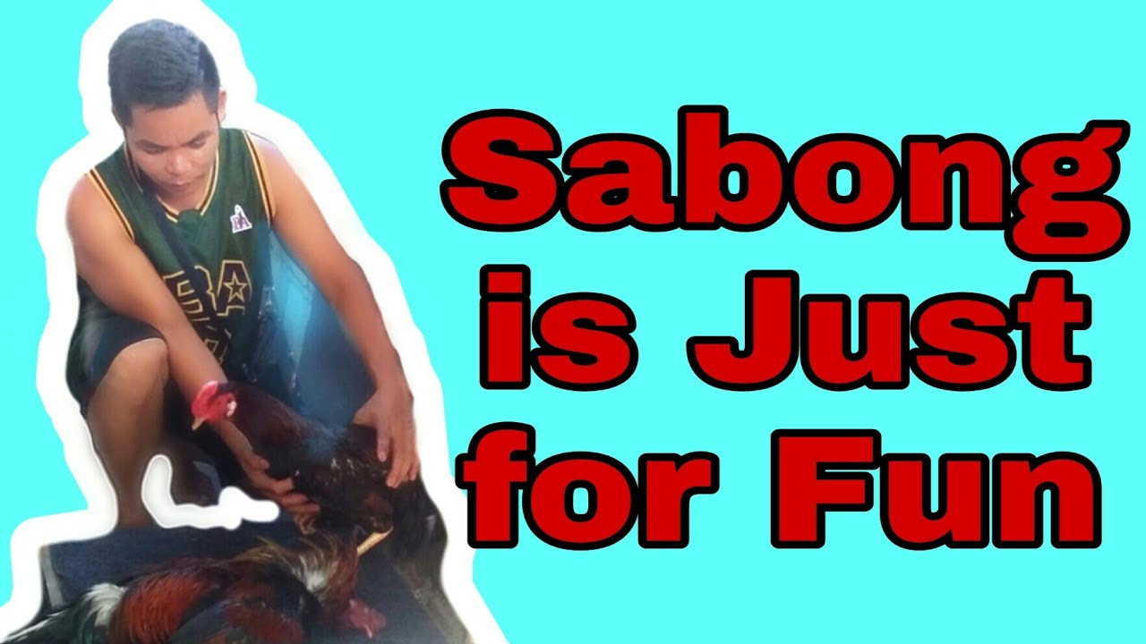 Sabong is Just for Fun - YouTube