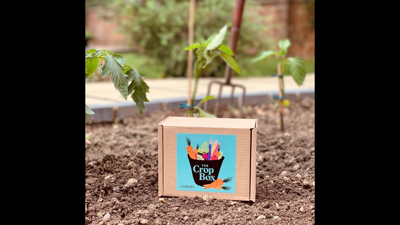 What Is In The Crop Box? - YouTube