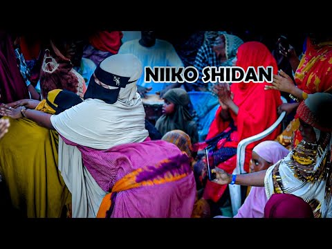 AROOS NIIKO SHIDAN {  OFFICIAL VIDEO BY NIIKO }