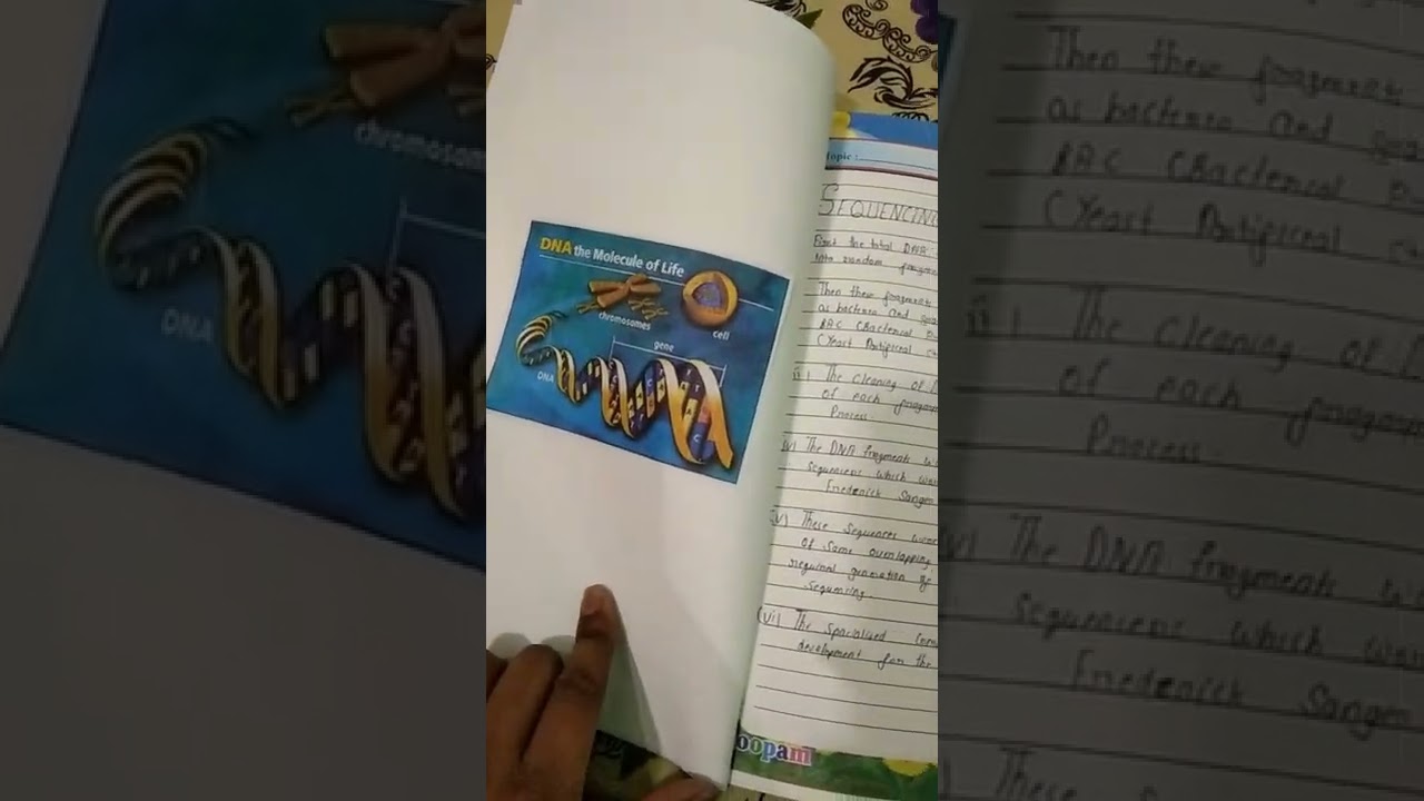 Biology class 12 project file Human genome project - YouTube