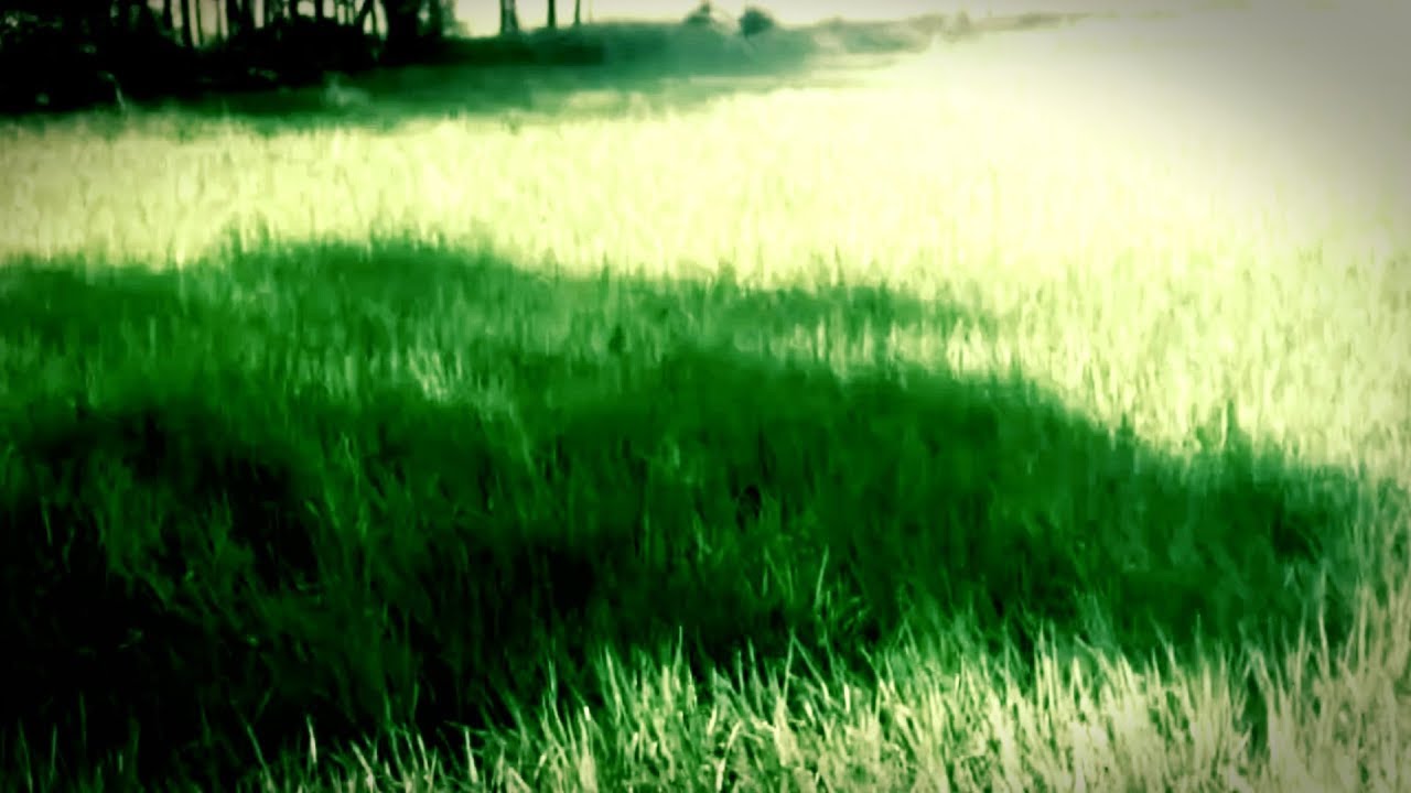 Awesome Green Place in The Village | Amazing Place | - YouTube
