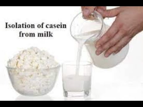 Chemistry Investigatory Project||Quantity of casein present in ...
