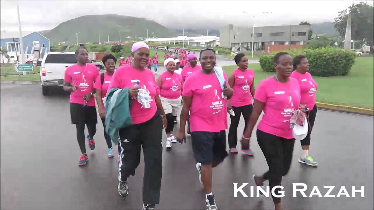 Walk for the Cause 2015 - YouTube