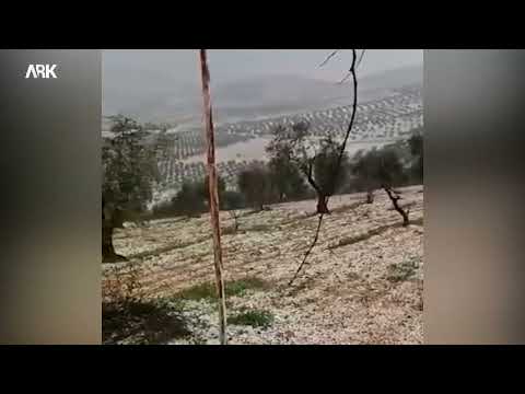 عفرين.. تساقط حبات البرد بأحجام كبيرة في قرية شيخ بلا Şêx Bila  التابعة لناحية راجو