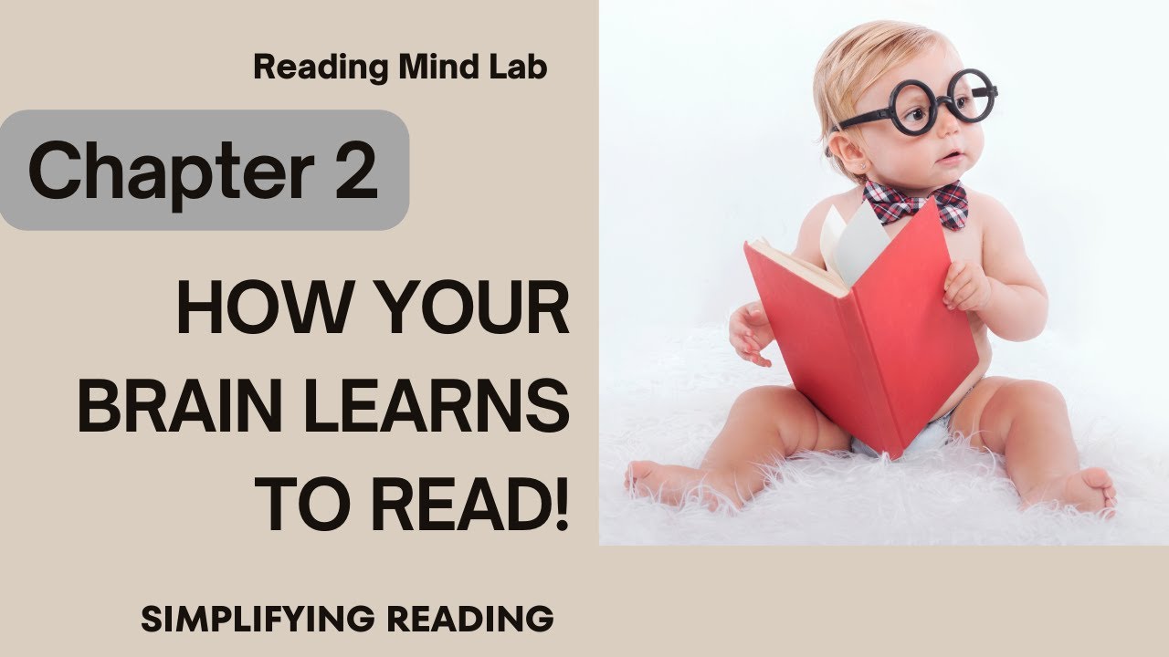 The Science of Reading Made Simple: Overview of how the brain processes ...