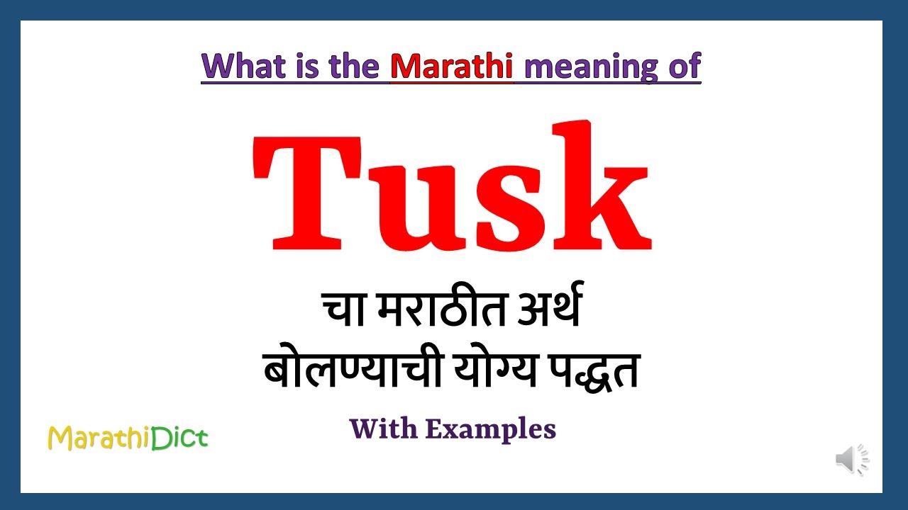 Tusk Meaning in Marathi | Tusk म्हणजे काय | Tusk in Marathi Dictionary ...