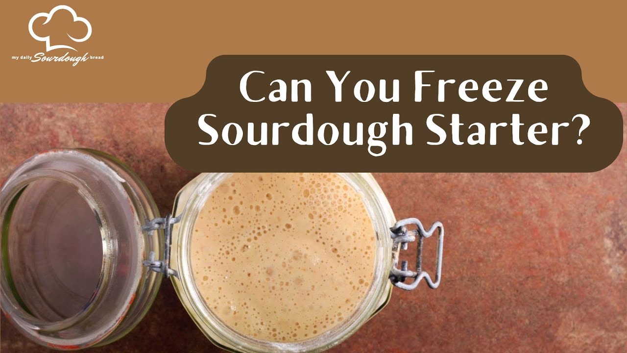 Can You Freeze Sourdough Starter? | Simple Guide to Saving Starter ...