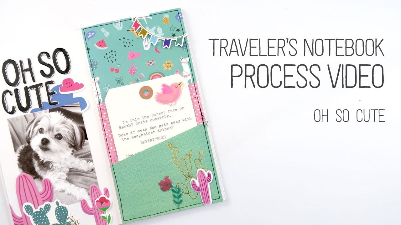 Traveler's Notebook Layout // Oh so cute 🐶 - YouTube