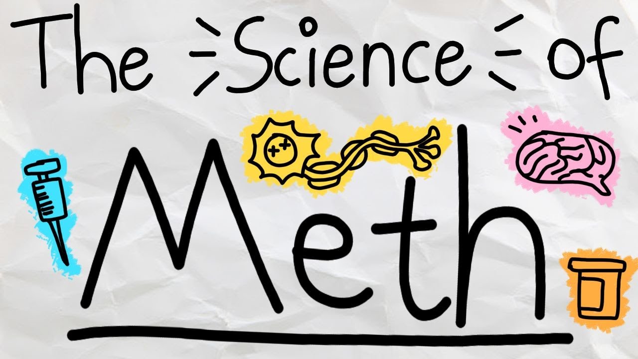 The Effect of Methamphetamine (Meth) on the Brain - YouTube