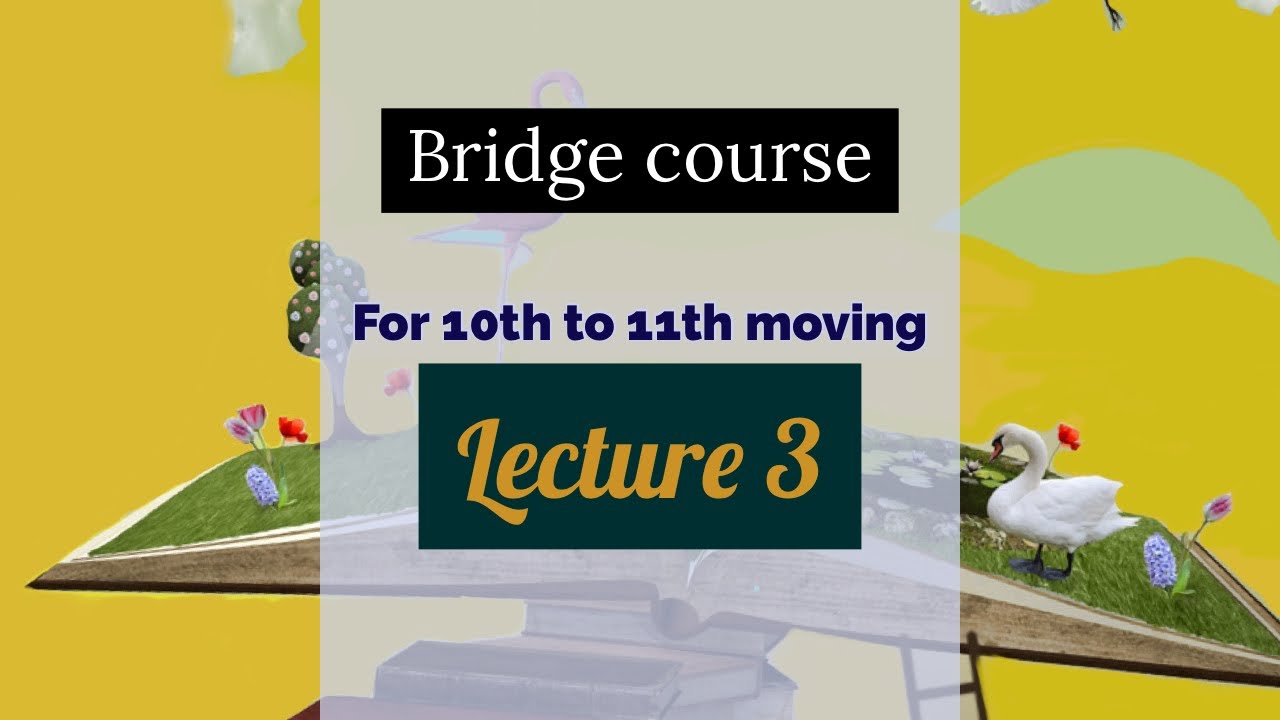 Bridge course | 11th | quadratic polynomial | By DM Sir - YouTube