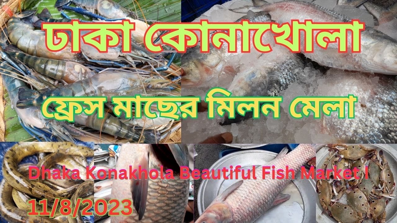 Dhaka Konakhola Beautiful Fish Market I Super Big Fish Bazar in Bangladesh I - YouTube