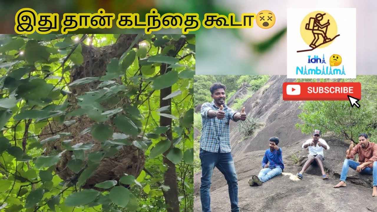 kadanthai koodu | Vespila vulgaris | Kanniyakumari | Anlin A R | ITHA ...