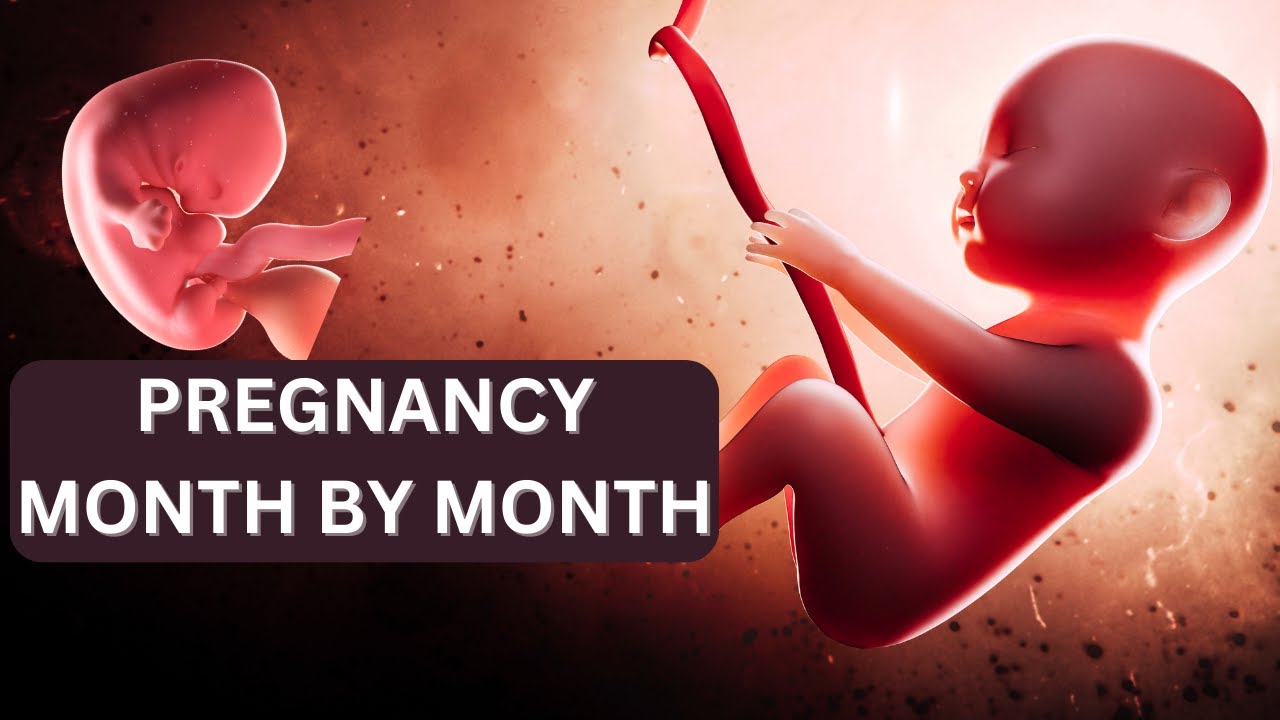 Pregnancy Month by Month: A Detailed Journey of Fetal Development in ...