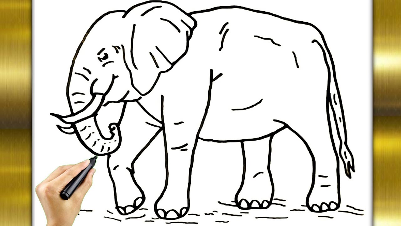How to draw Elephant drawing | learn to draw elephan drawing | step by ...