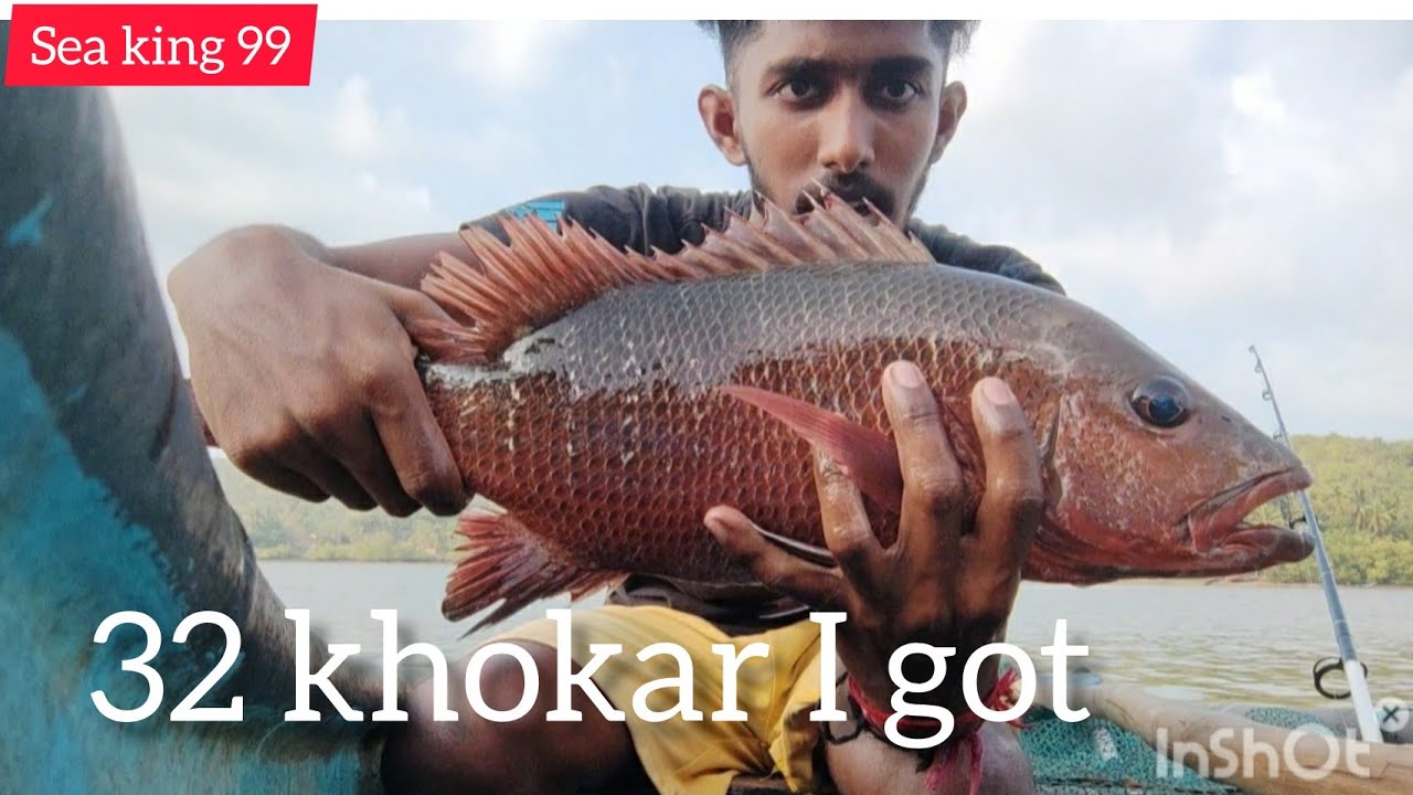Night fishing 🎣 in goa //tamoshi //palu//khokar//dhadyaro....(fishing ...