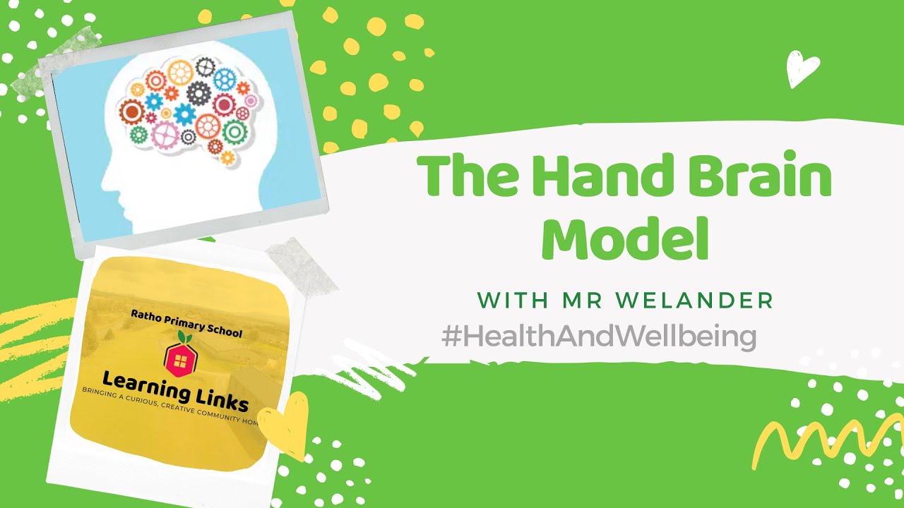 The Hand Brain Model - The emotional and thinking parts of the brain ...