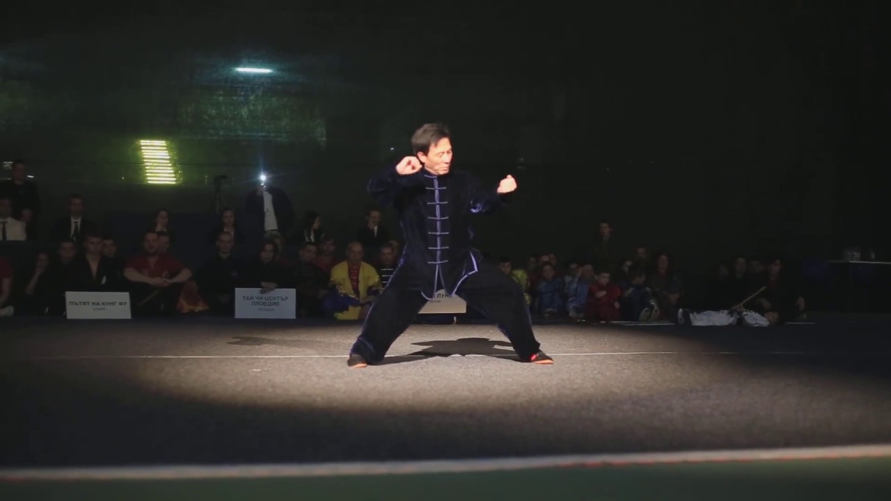 Master Sheng Fei - free style Taiji Quan demonstration - YouTube