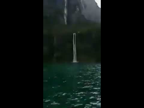 Dünya hayatı size Allah'ı unutturmasın