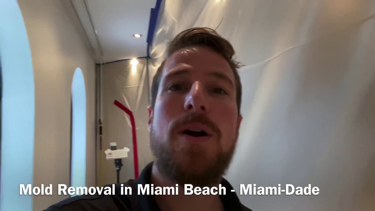 Mold Remediation & Removal in Miami Beach, Florida - YouTube