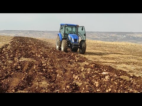 çift çekerle taşlı tarlayı sürmek