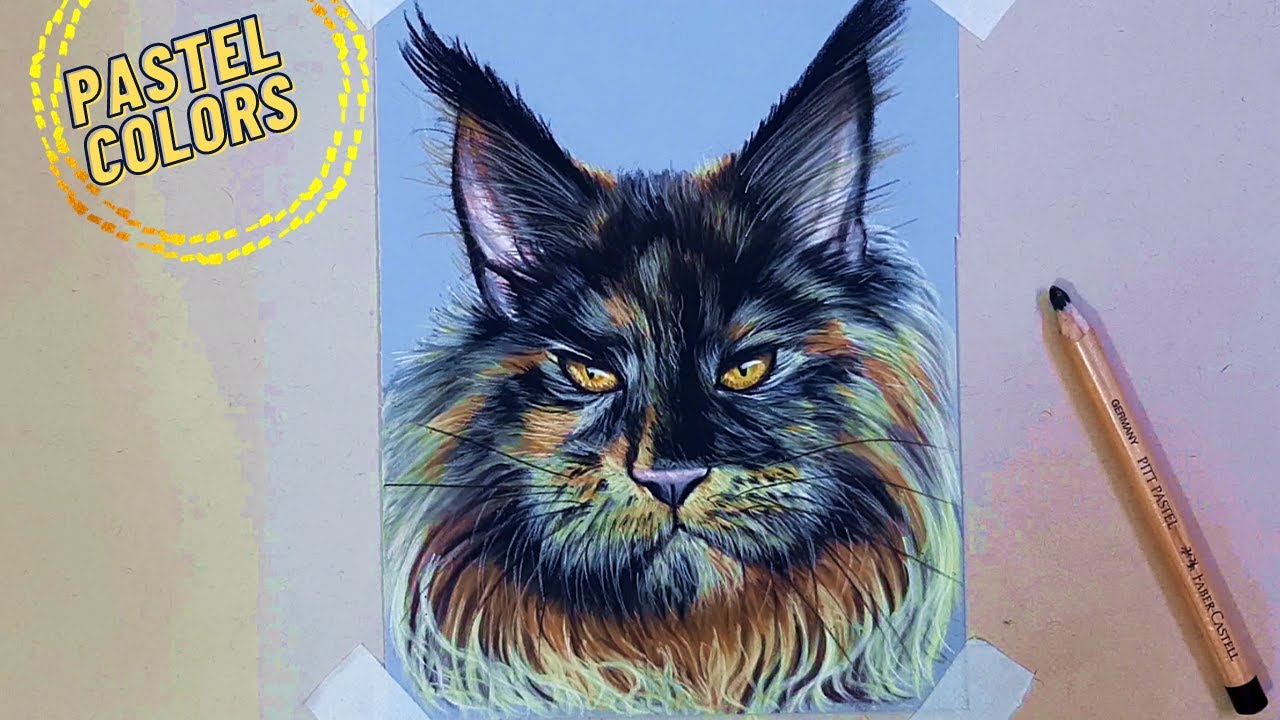 How to draw a Cat (Maine coon cat) (2) : A step by step guide - YouTube