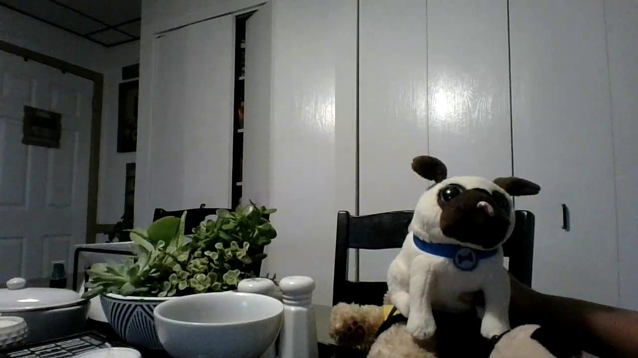 The Adventures of Puggy, season 1. Puggy's Awesome Adventures, episode ...