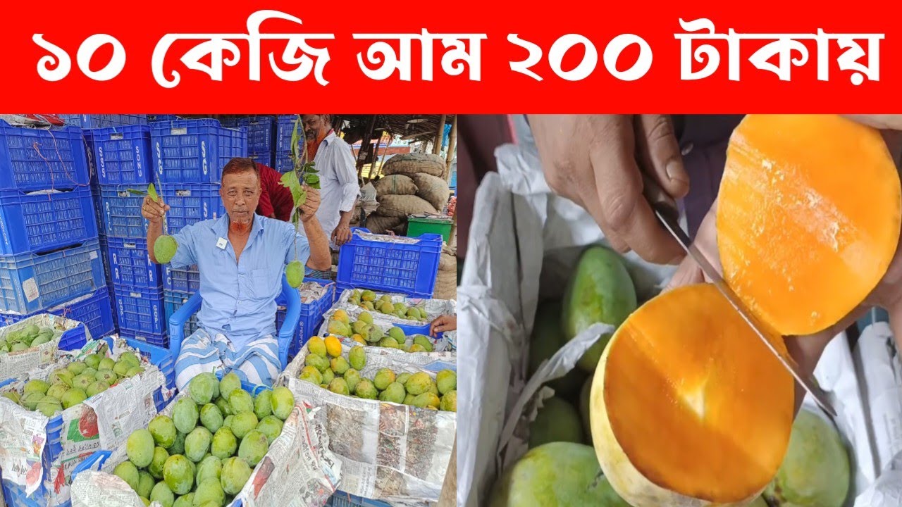 হঠাৎ বাজারে আসলো এ কেমন আম | mango wholesale market dhaka Jatrabari | Rajshahi mango | fruit ...