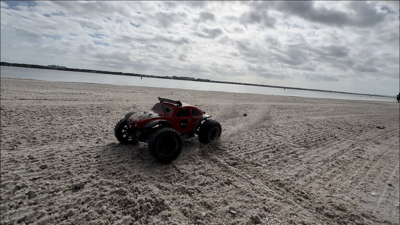 3s Sand beetle running the beach - YouTube