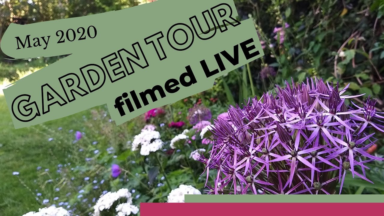 Virtual Chelsea Flower Show garden tour (not) - YouTube