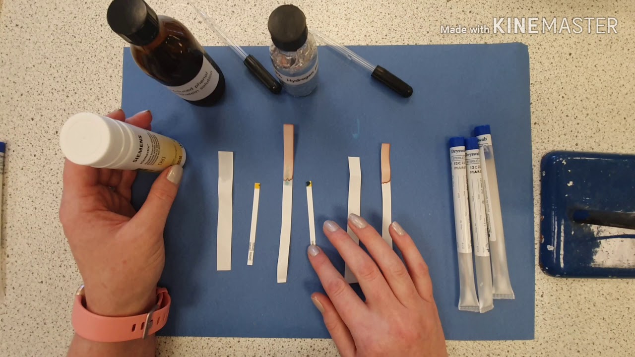 Tresham Yr2 Forensics- Blood testing ( biological evidence) - YouTube