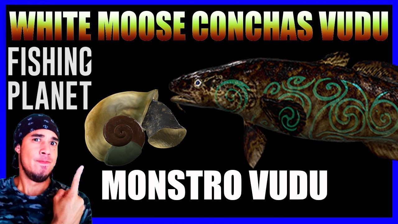 WHITE MOOSE CONCHAS VUDU GANHANDO MAIS EXPERIÊNCIA MONSTRO VUDU FISHING ...