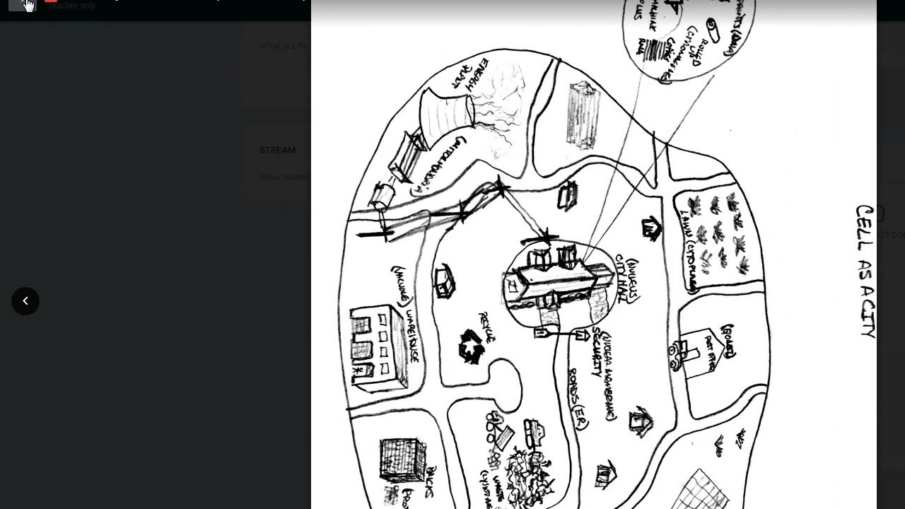 Cell as a City Instructions - YouTube