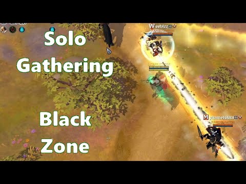 Solo Gathering Black Zone Vol.38 - Albion Online - YouTube