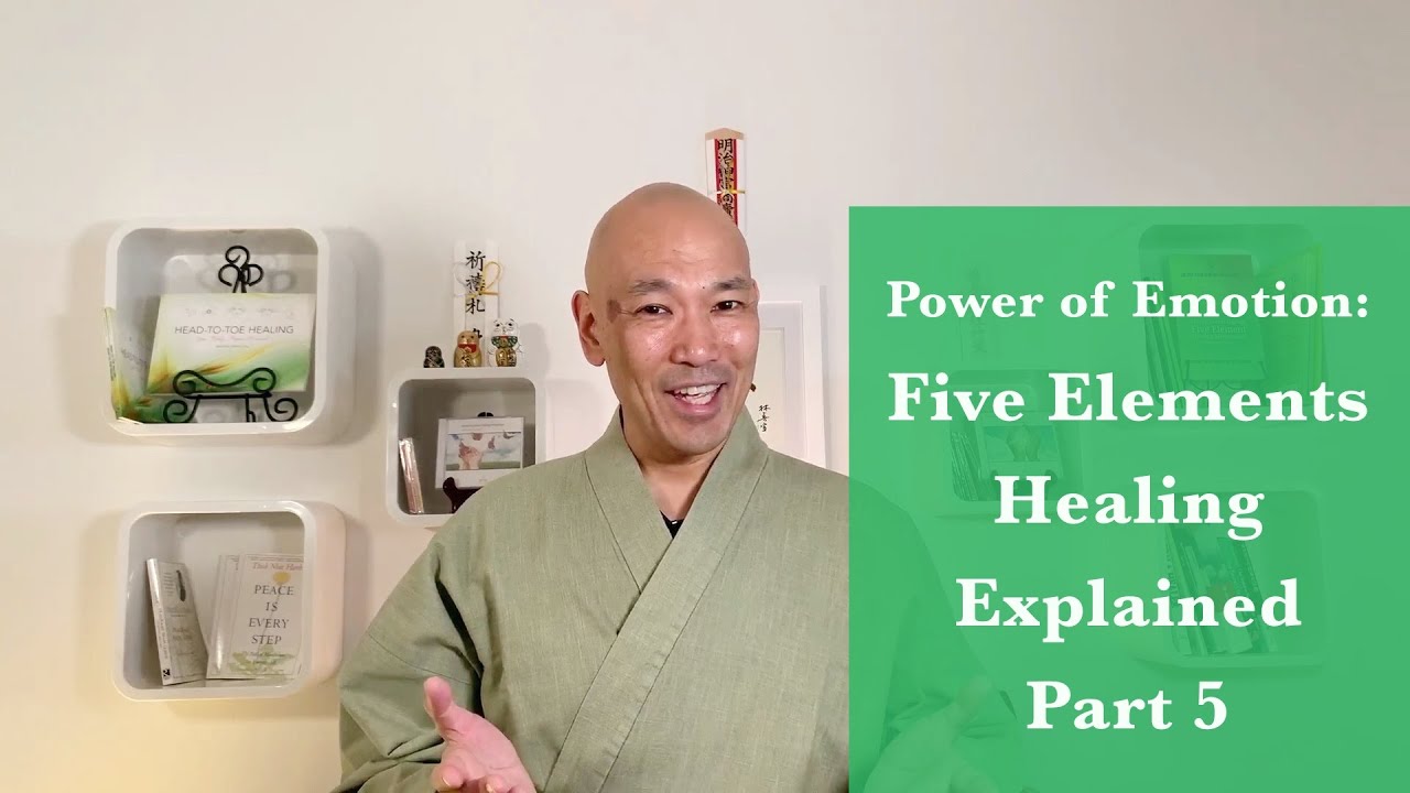 Power of Emotion: Five Elements Qigong Healing Explained Part 5 - YouTube