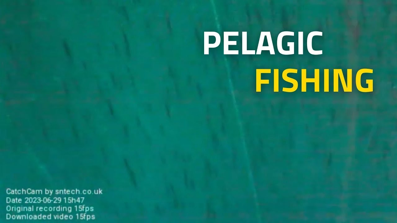 Pelagic Fishing Camera | CatchCam films Pelagic Trawler Net catching ...