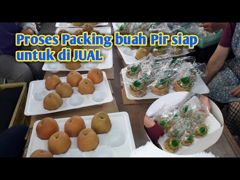 Ternyata begini proses packing buah mahal - YouTube