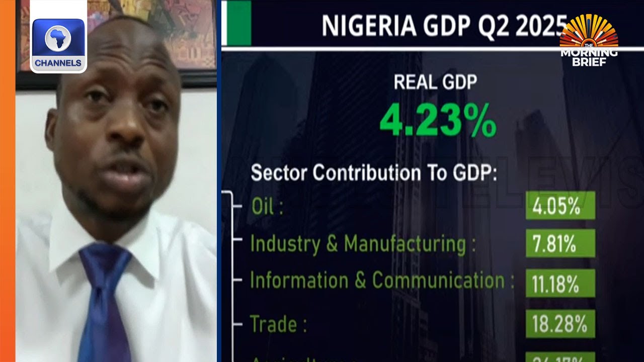 'We Are Still On Double Digit Inflation', Economist Analyses Health Of ...