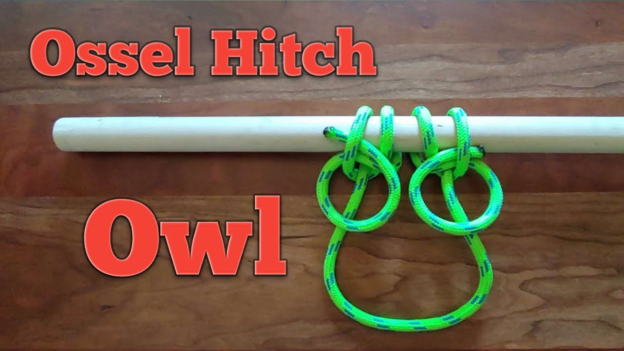 Ossel Hitch Owl - YouTube