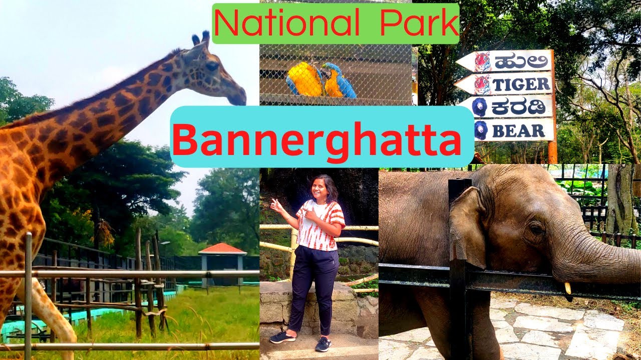 Bannerghatta National Park, Bengaluru | One Day trip near Bengaluru ...