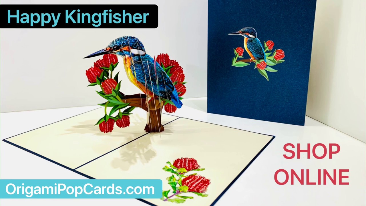 Origami Pop Cards - Happy Kingfisher 3D Pop Up Card - Birthday - Shop ...