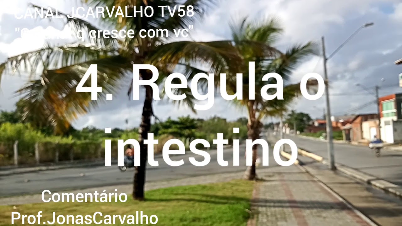 COCO DA PRAIA - YouTube