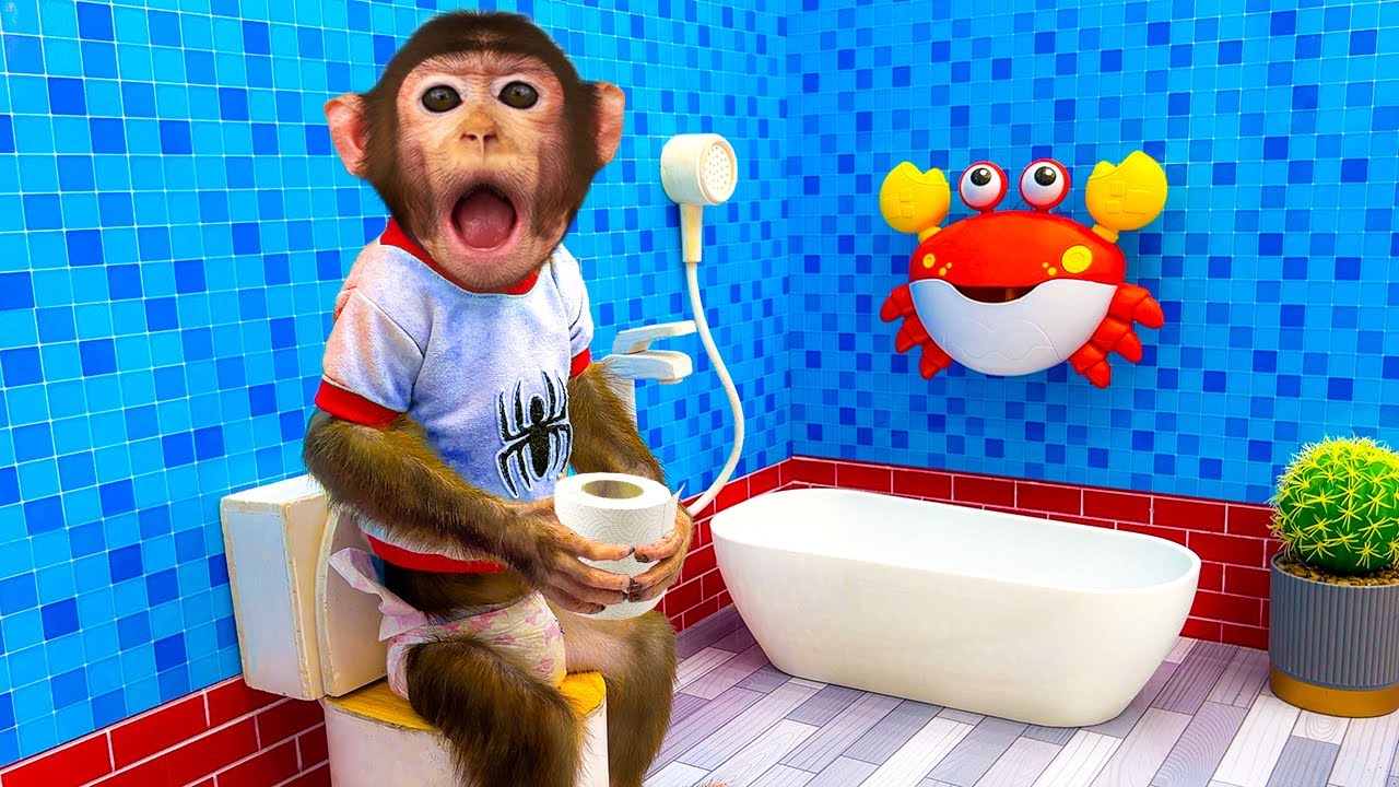 Baby Monkey BuBu got in trouble with you rainbow in the park and went ...