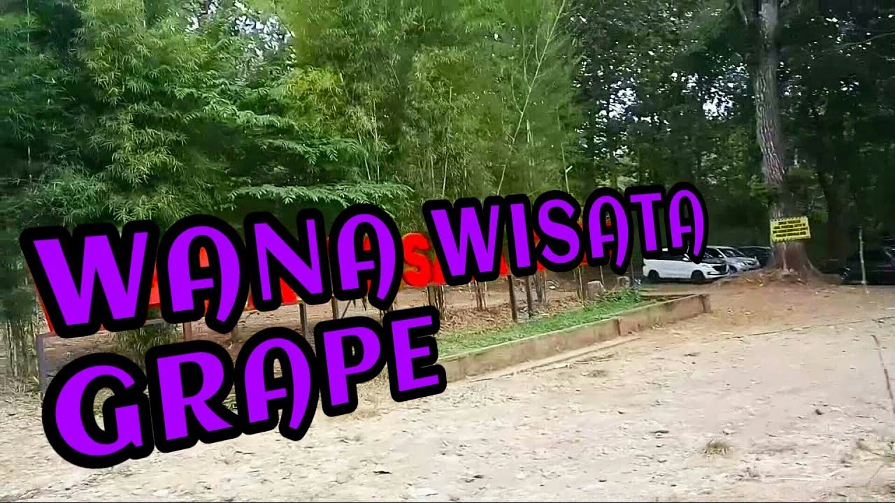 #wisata_madiun Wana wisata grape - YouTube