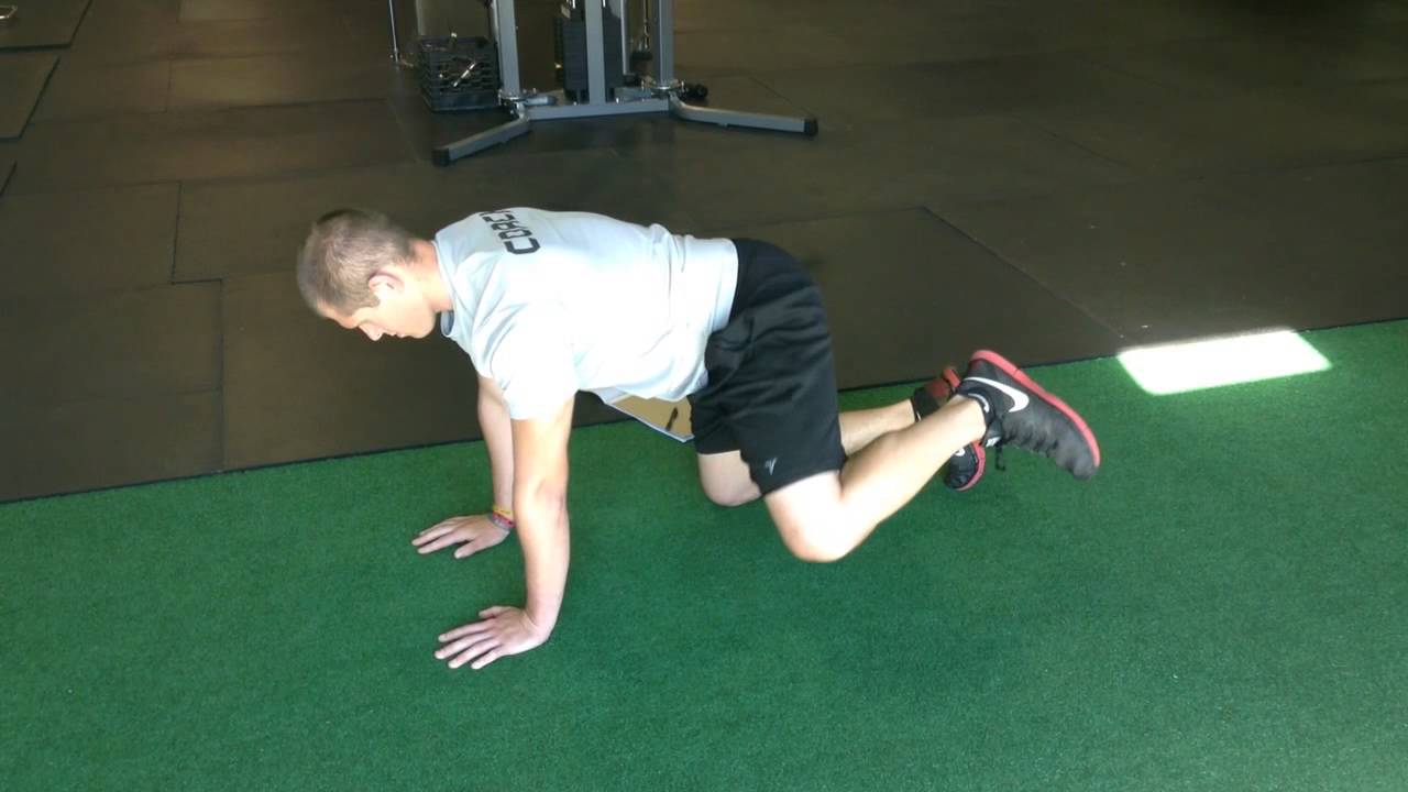 Quadruped Leg Abduction/Fire Hydrants - YouTube