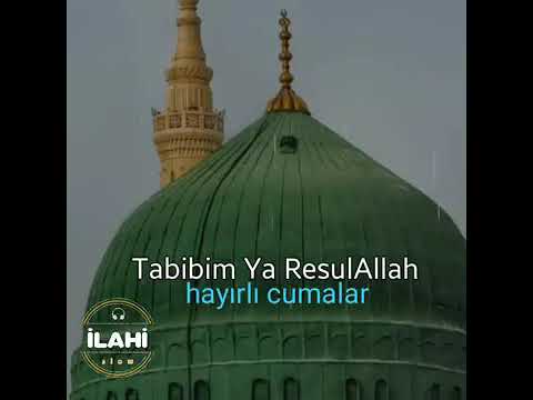 🍃🌹SALAVÂT🌹🍃