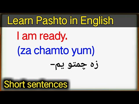 English to Pashto sentences | learn pashto language | english to pashto ...